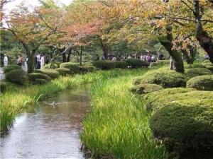 Midori no Hi, Dia do Verde no Japão | Curiosidades do Japão