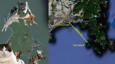 Tashirojima, a Ilha dos Gatos | Curiosidades do Japão