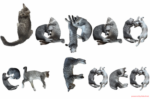 Nekofont, uma fonte de gatos divertida | Curiosidades do Japão